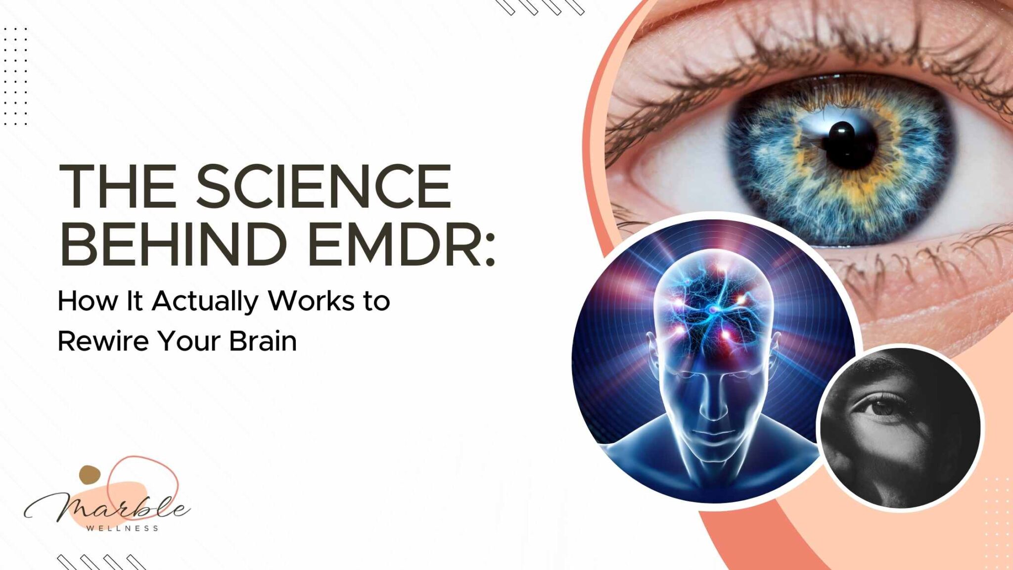 Science Behind EMDR: How It Actually Works to Rewire Your Brain